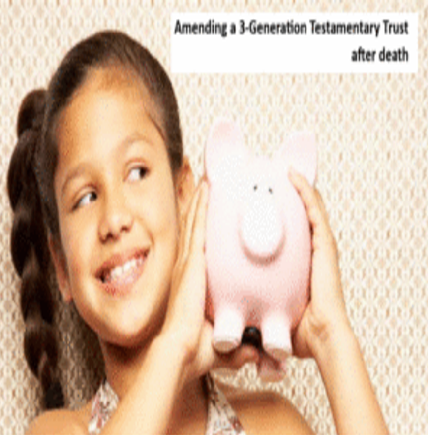 Amending a Testamentary Trust After the Will Maker Dies - Legal ...